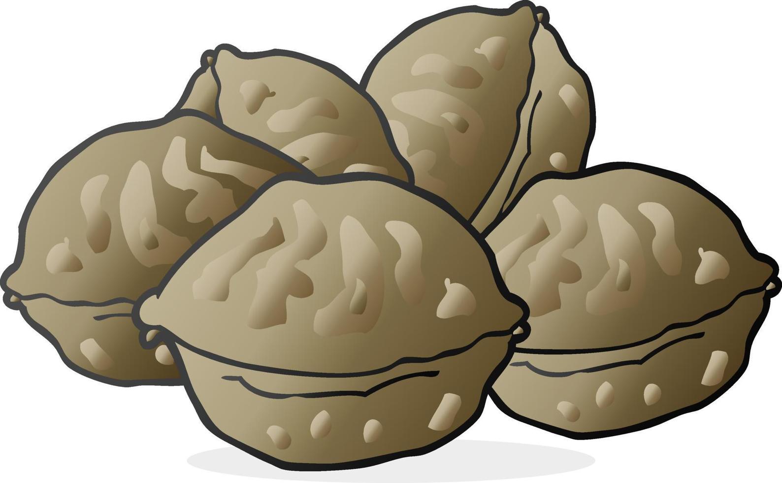 Freehand Drawn Cartoon Walnuts In Shell 11857416 Vector Art At Vecteezy