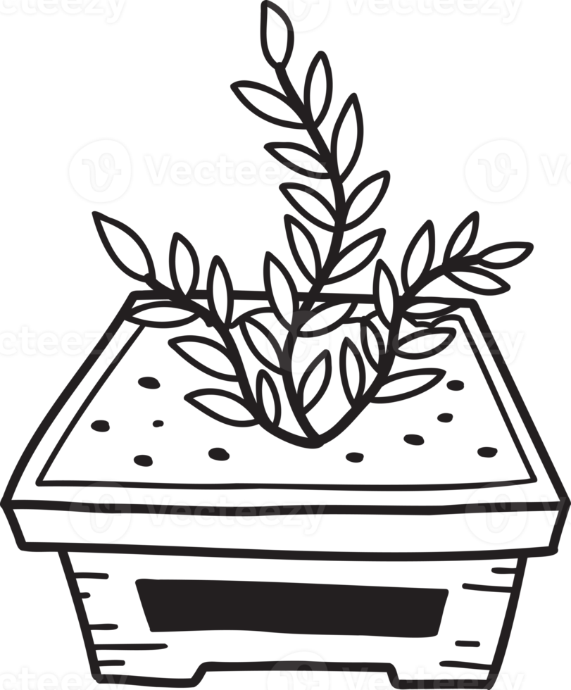 Hand Drawn Cute Indoor Plant Illustration 11887633 Png