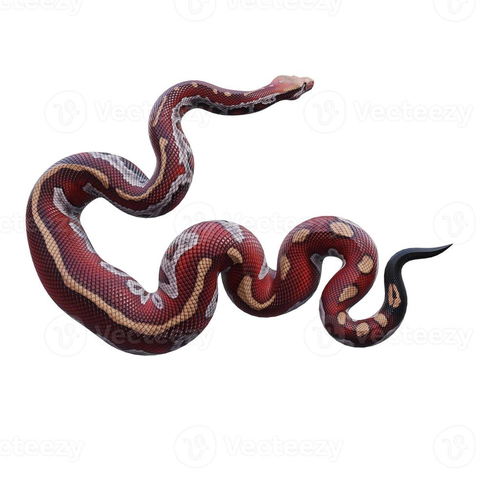 Blood python 3D illustration 11890097 Stock Photo at Vecteezy