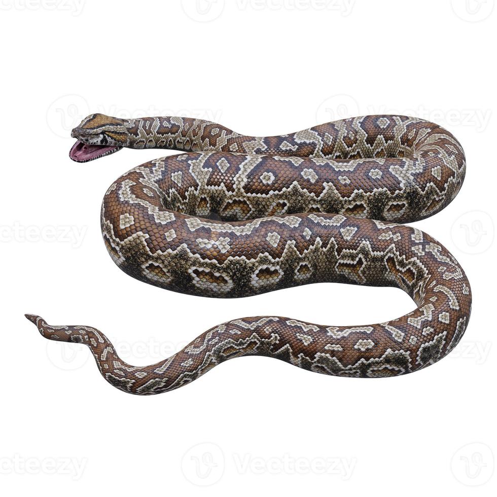 Southern African rock python 3D illustration 11890167 Stock Photo at ...