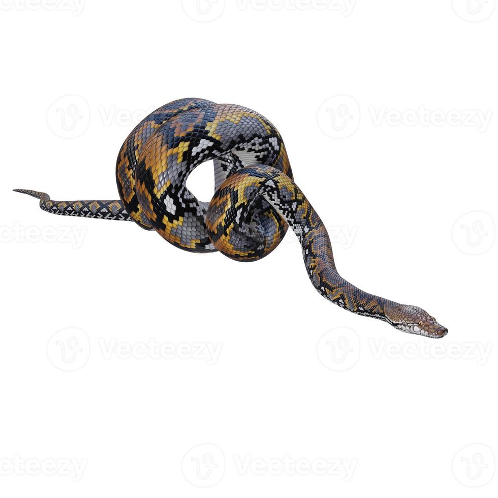 Reticulated python 3D illustration 11890240 Stock Photo at Vecteezy