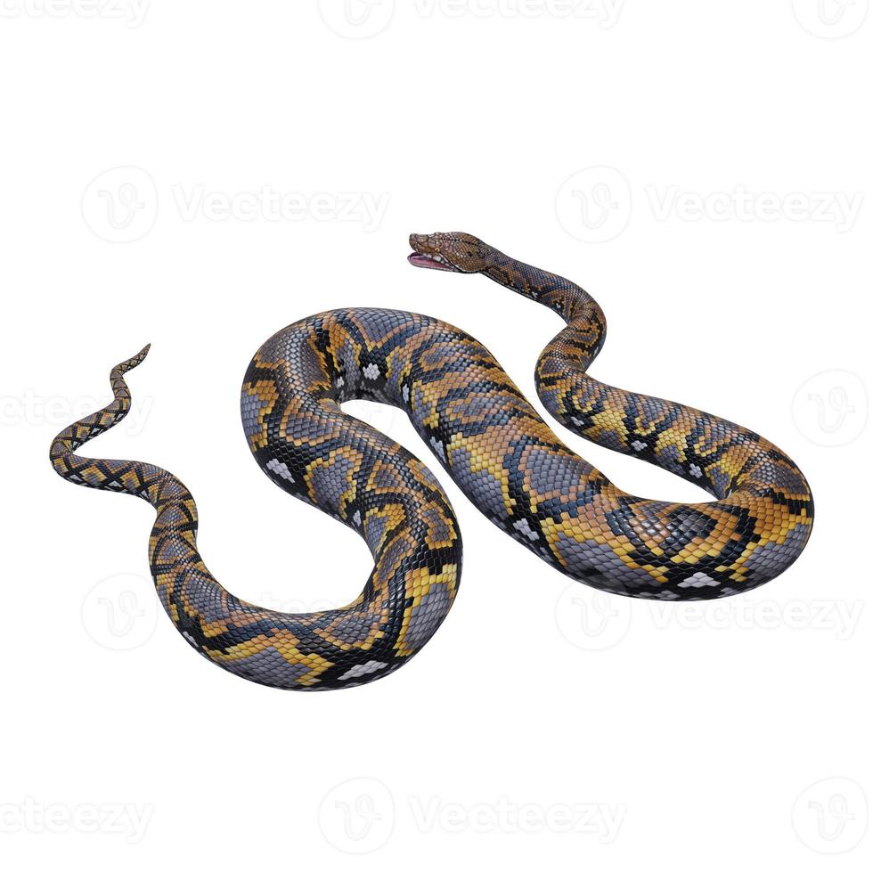 Reticulated python 3D illustration 11890436 Stock Photo at Vecteezy