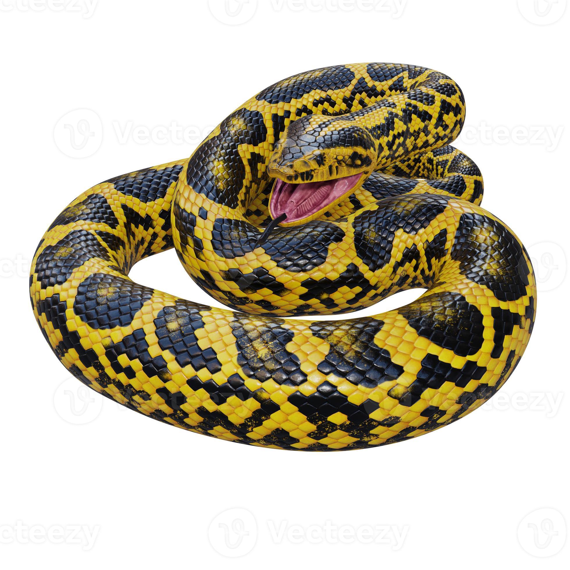 Yellow anaconda 3D illustration 11890448 Stock Photo at Vecteezy