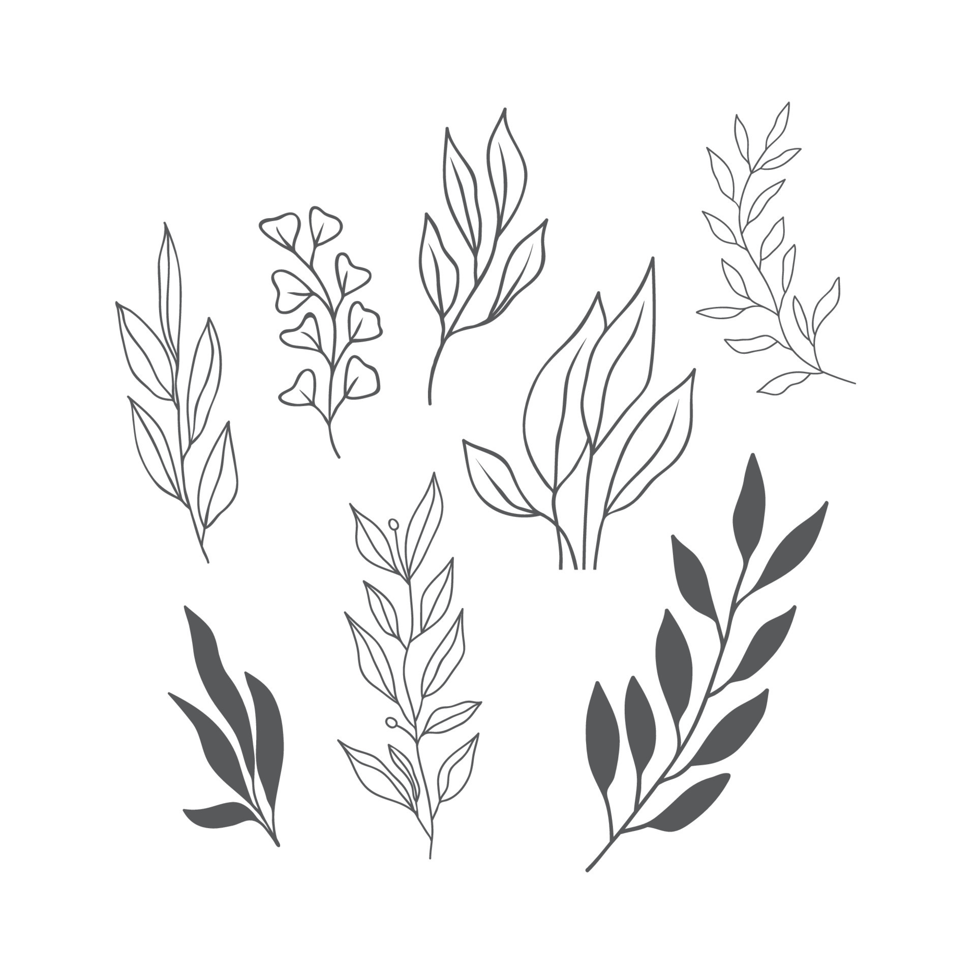 Aesthetic leaf Minimalist line ornament 11893102 Vector Art at Vecteezy Aesthetic leaf Minimalist line ornament 11893102 Vector Art at Vecteezy