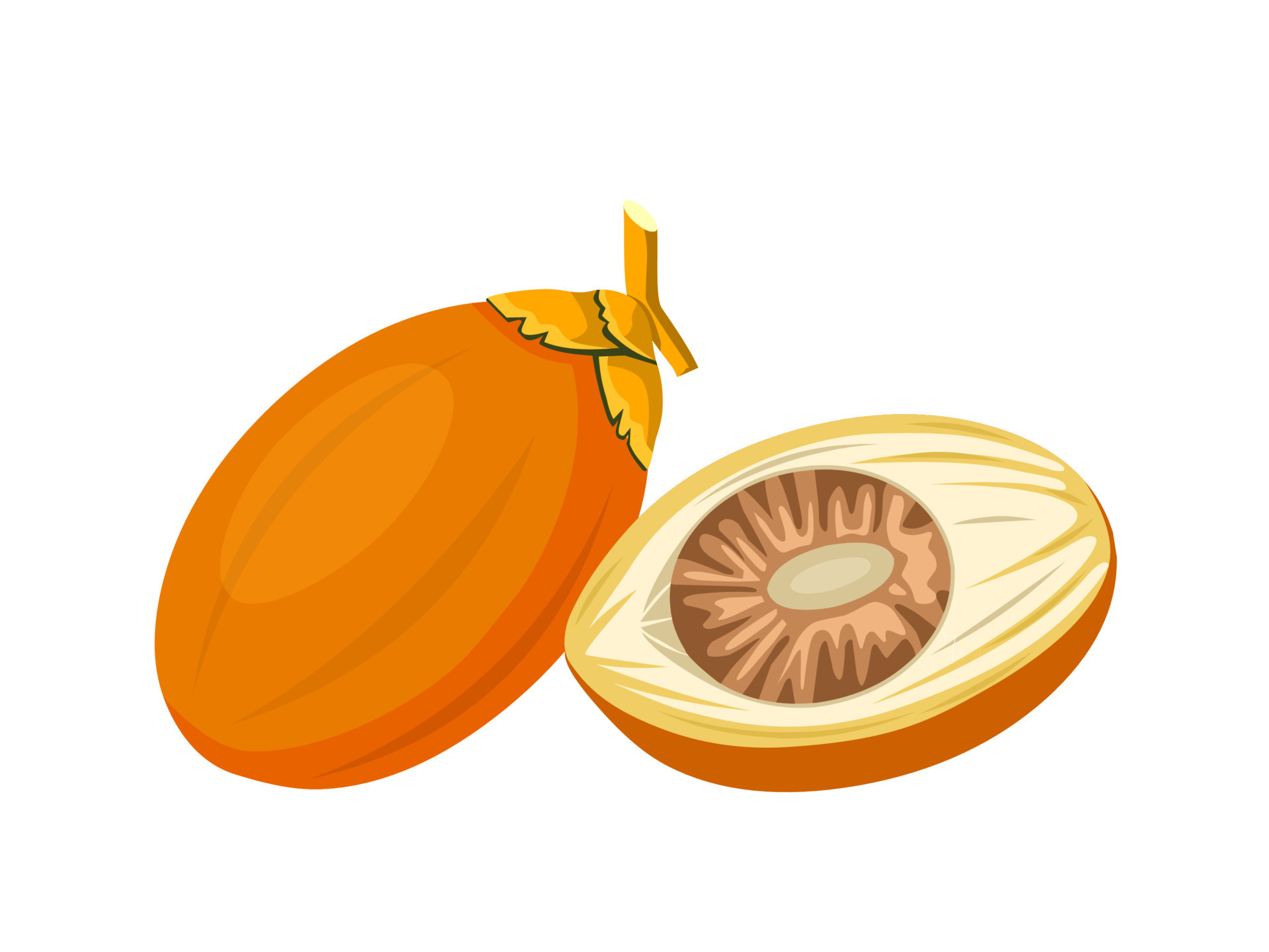 Areca Nut Fruit