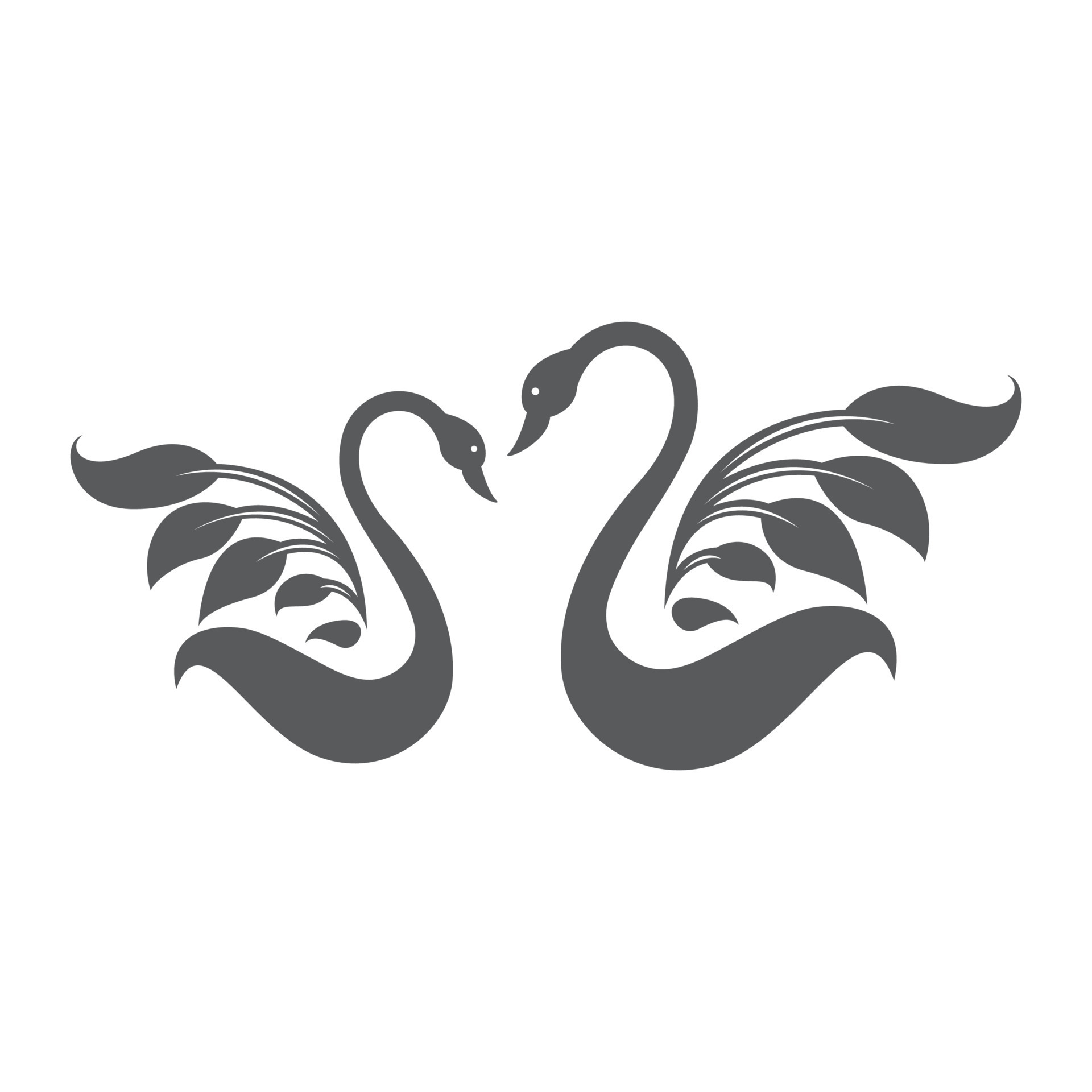 Vector De Logotipo Dos Cisnes Icono De Cisne 11897582 Vector En Vecteezy