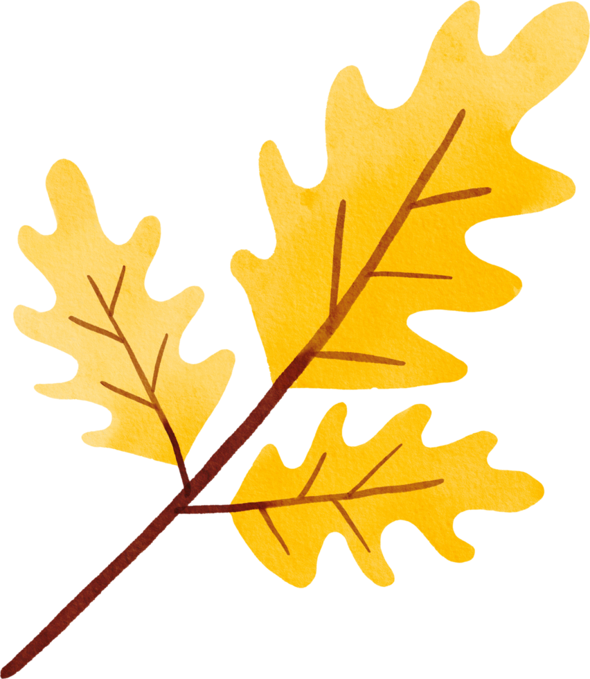 Watercolor Hand drawn Autumn Leaf 11905119 PNG Watercolor Hand drawn Autumn Leaf 11905119 PNG