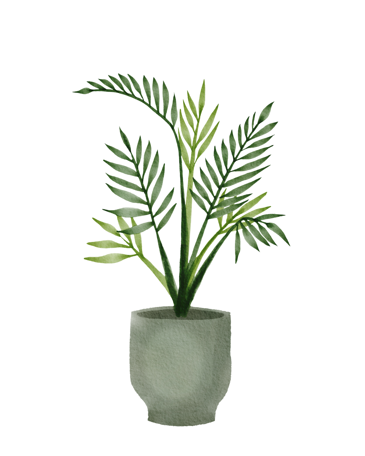 House Plants Png