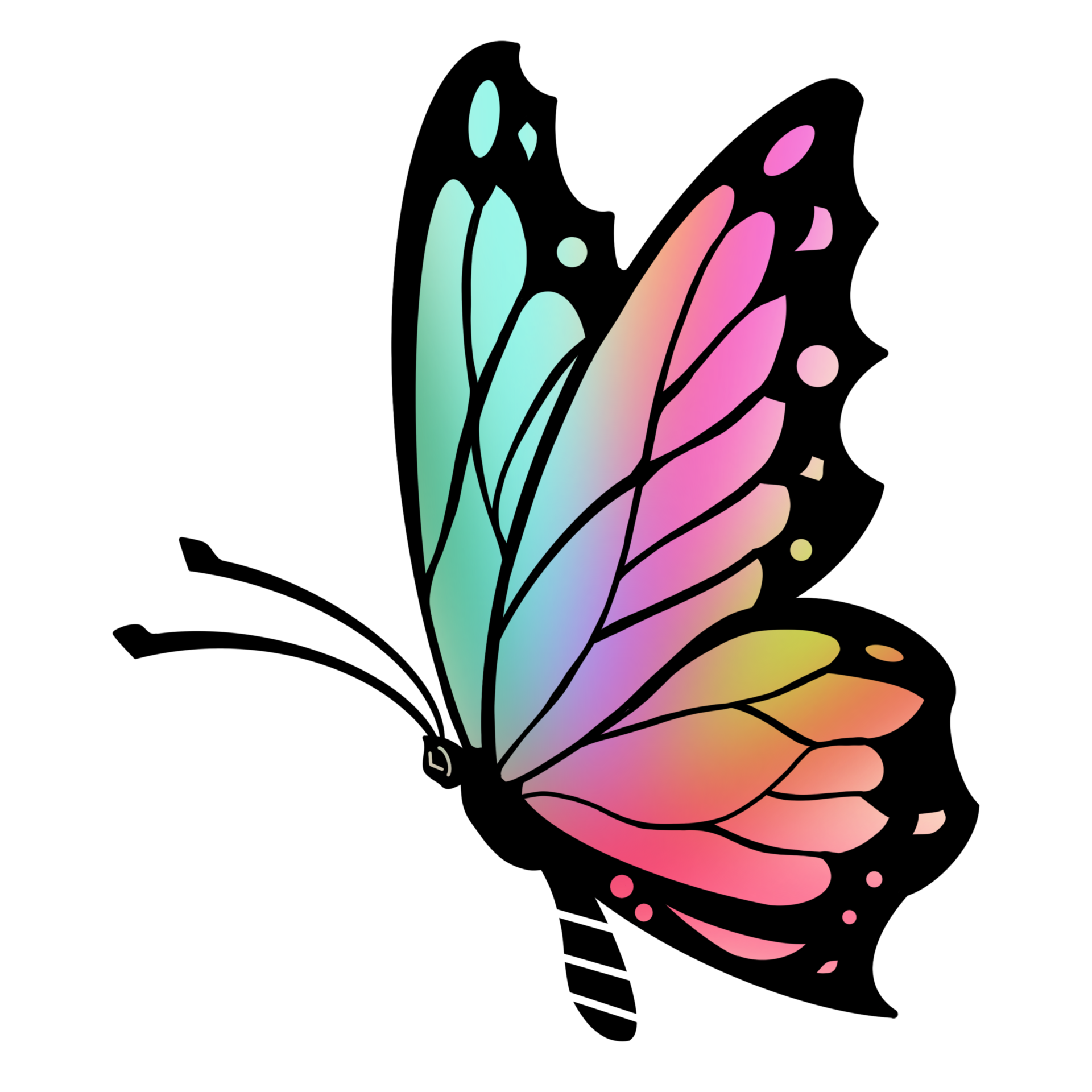The Beautiful Butterfly 11908919 PNG The Beautiful Butterfly 11908919 PNG