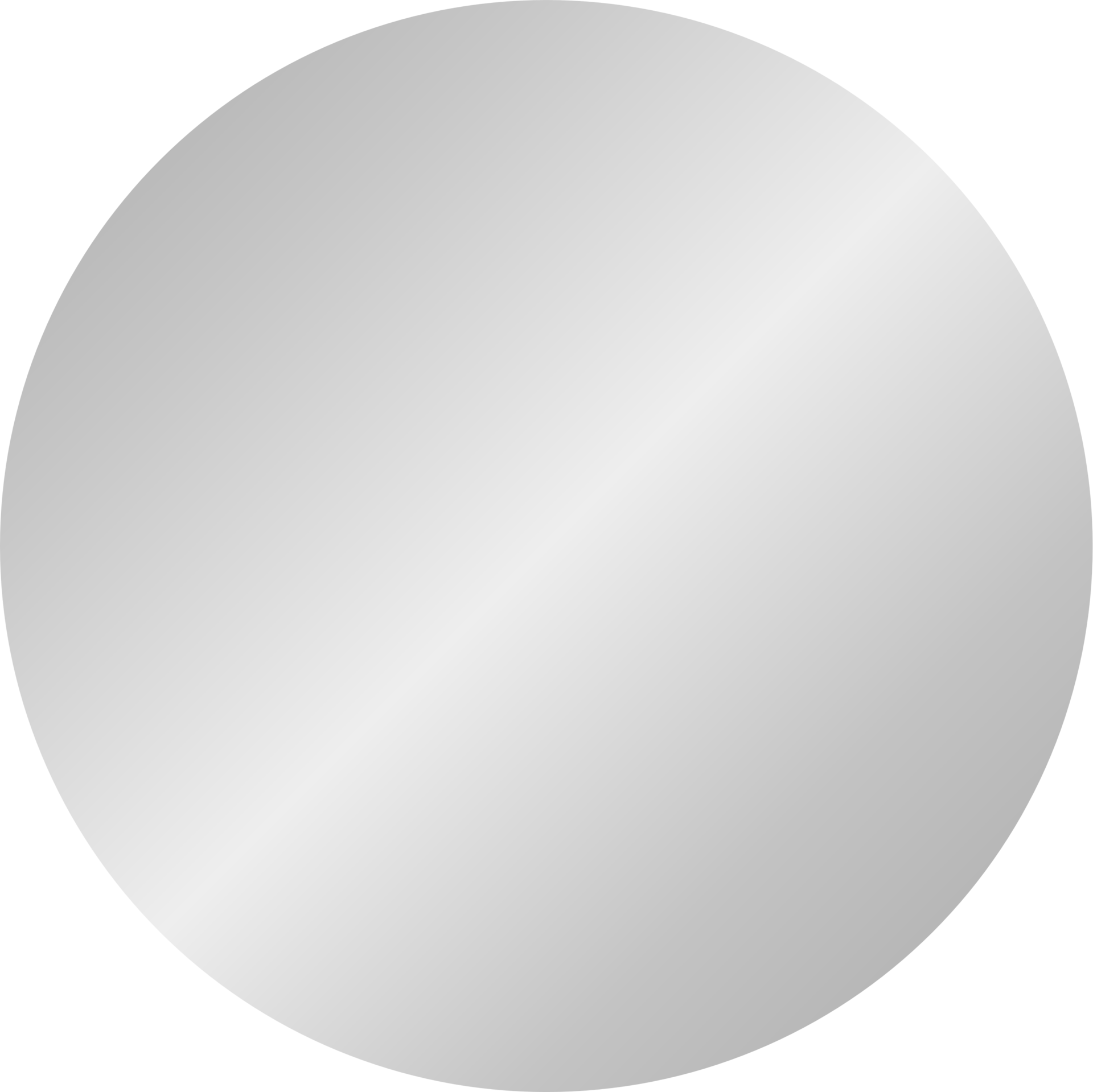 Silver Round Icon 11947150 PNG