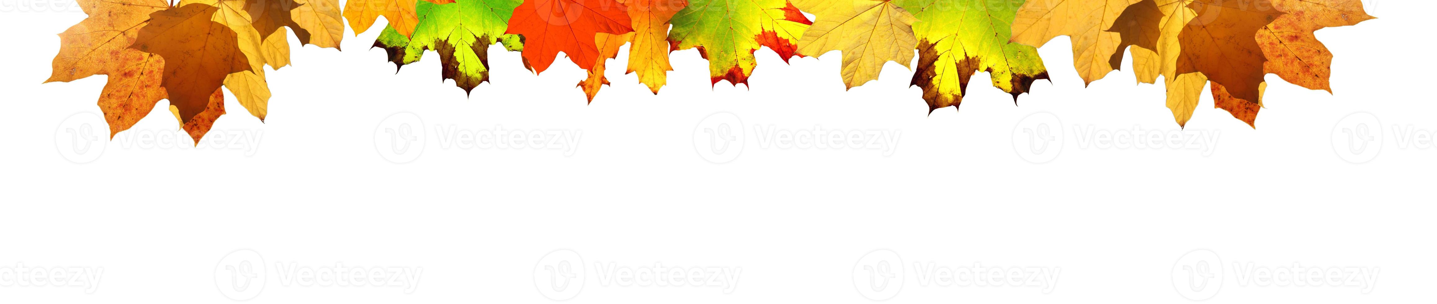 Fall Leaves Border Stock Photos, Images and Backgrounds for Free Download