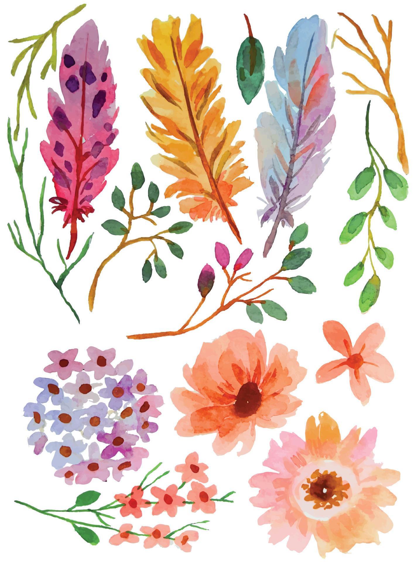Watercolor Flower Elements Clipart 11954369 Vector Art At Vecteezy