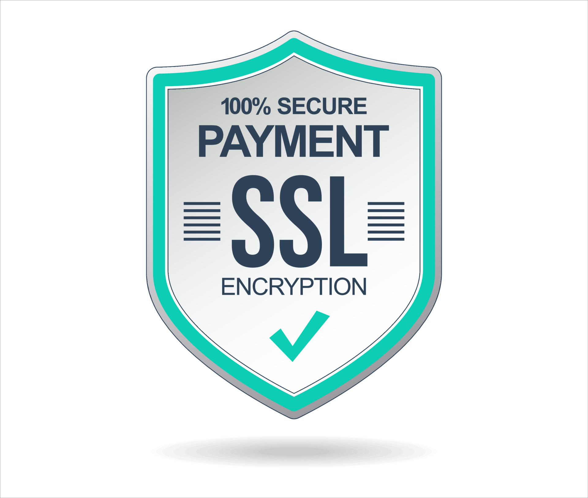Ssl Protection Secure Icon Vector Illustration Isolated On White