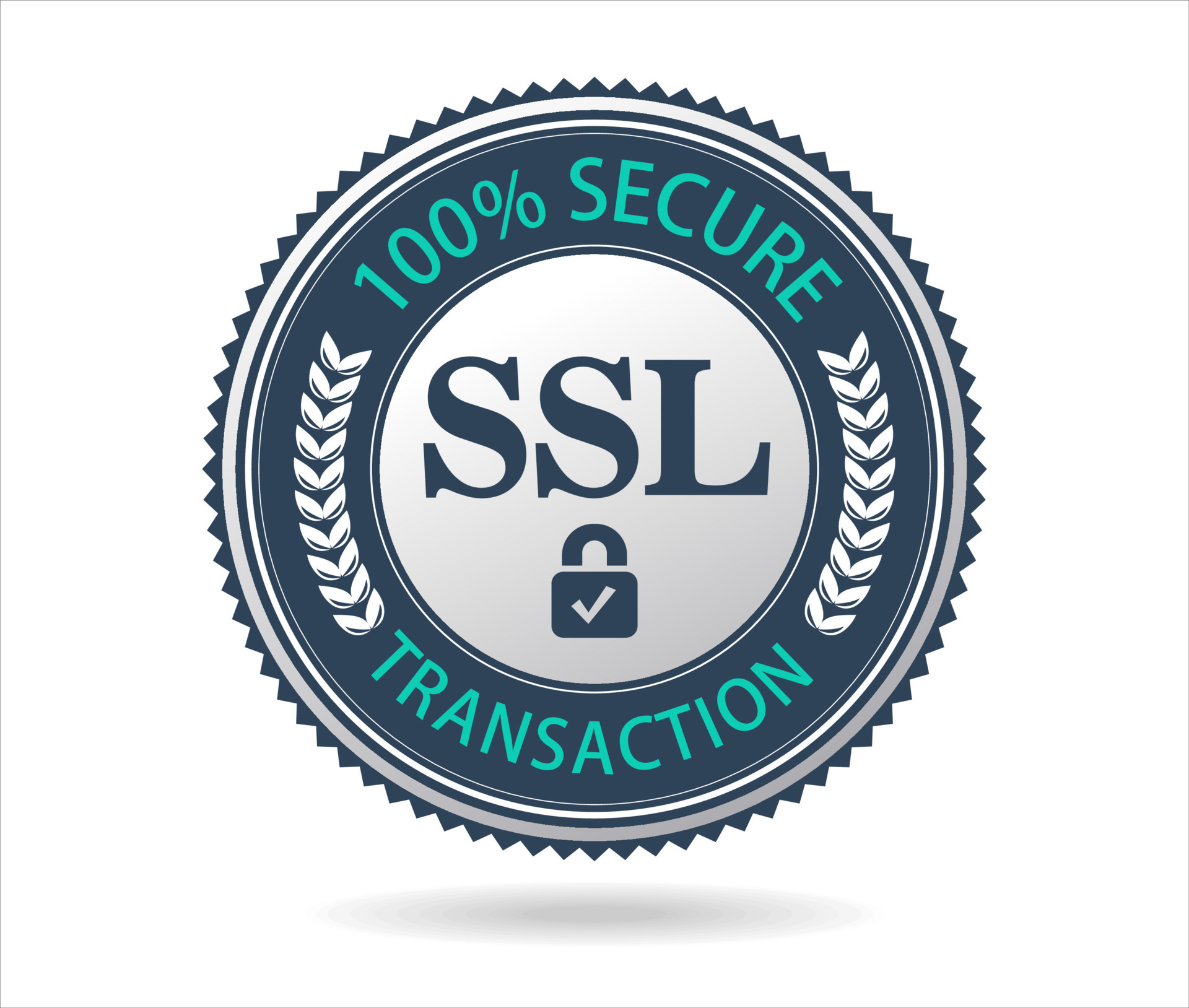 Ssl Protection Secure Icon Vector Illustration Isolated On White