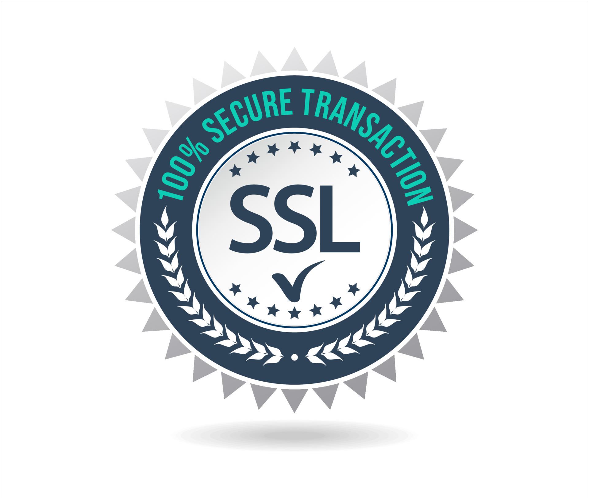 Ssl Protection Secure Icon Vector Illustration Isolated On White