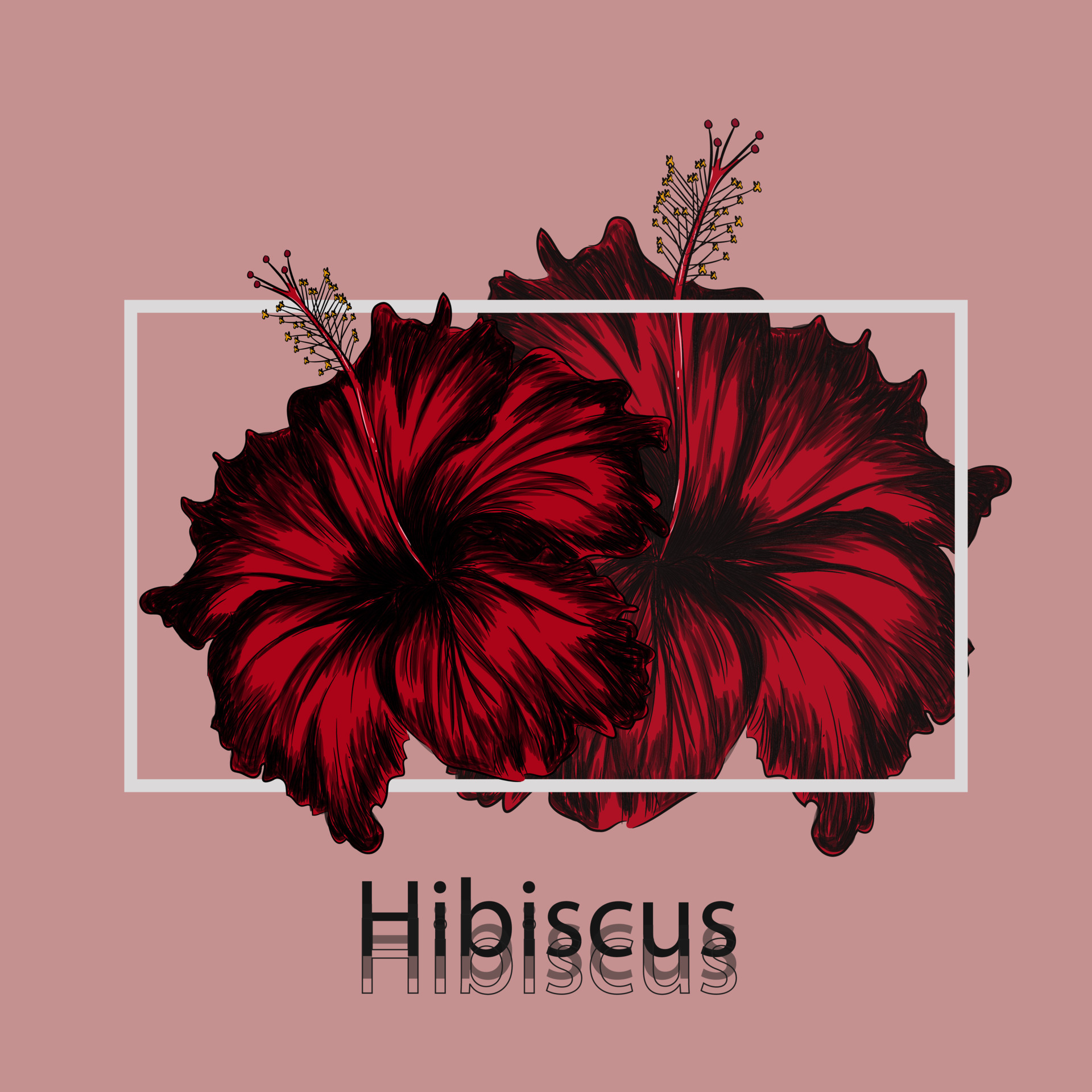 flor de hibisco rojo. fondo rosa y borde blanco dibujado a mano ilustración vectorial 11958502 ...