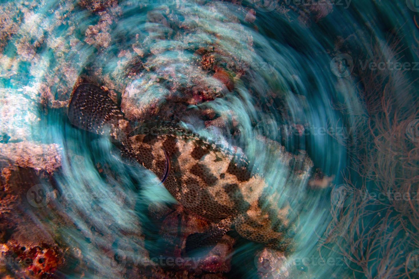 Large Scale Stock Photos, Images and Backgrounds for Free Download