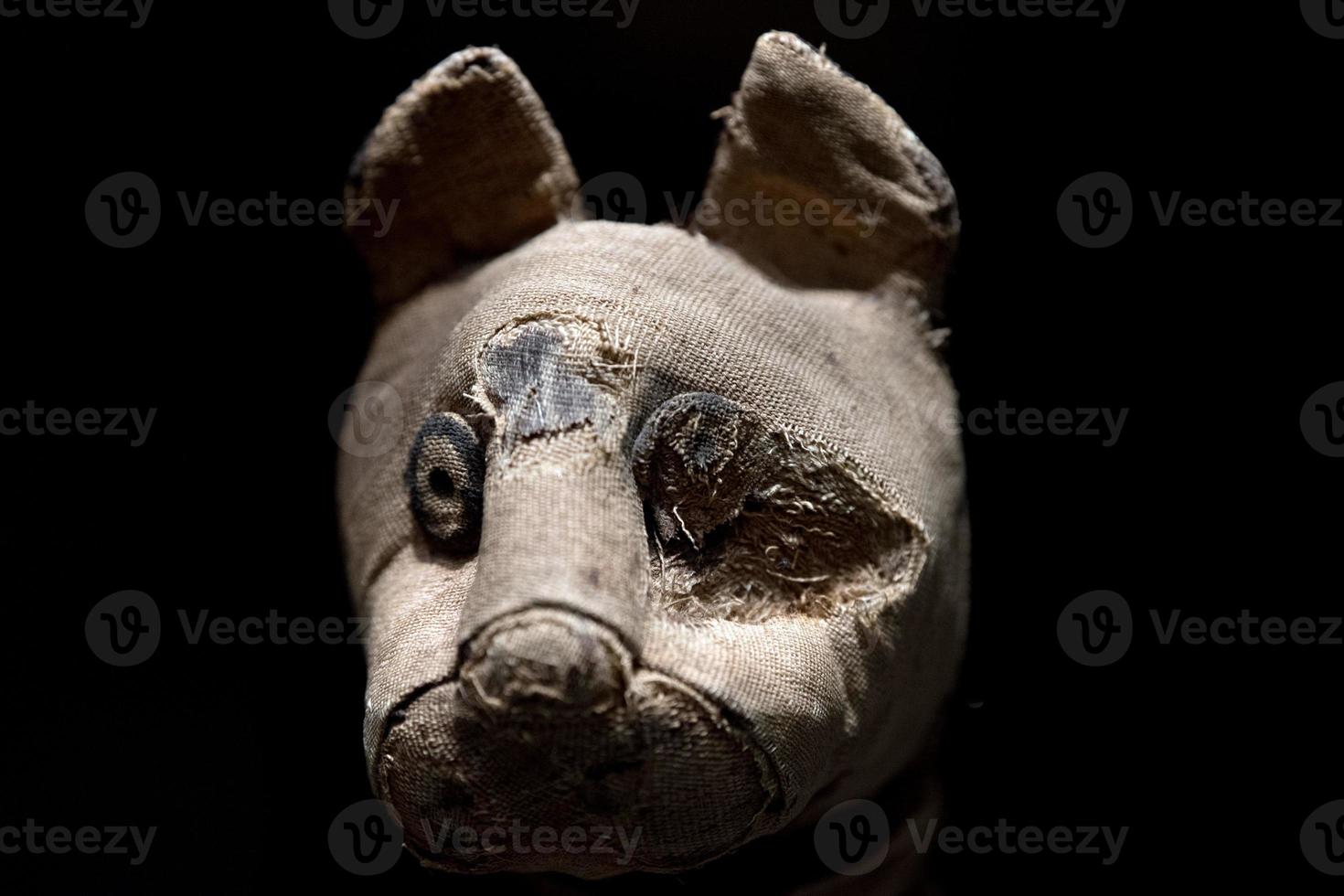 Wolf Mask Stock Photos, Images and Backgrounds for Free Download