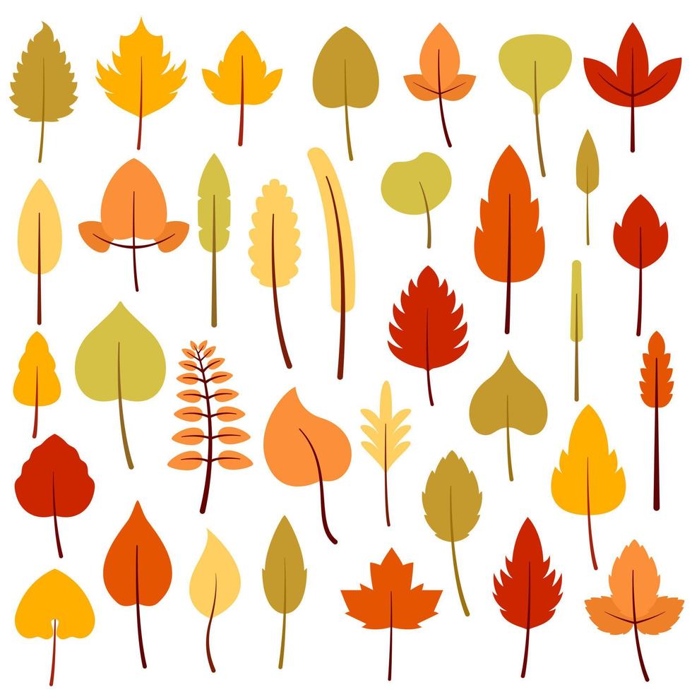 Autumn Leaves Clipart Bundle 11975976 Vector Art at Vecteezy