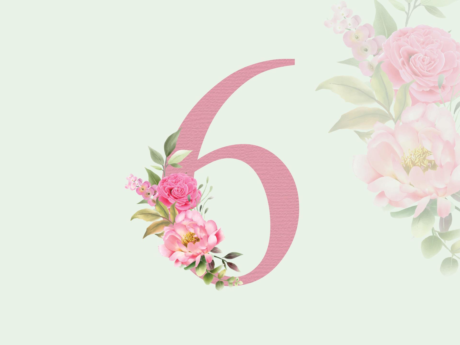 Beautiful Numeric 6 with floral bouquet 11980637 Vector Art at Vecteezy Beautiful Numeric 6 with floral bouquet 11980637 Vector Art at Vecteezy