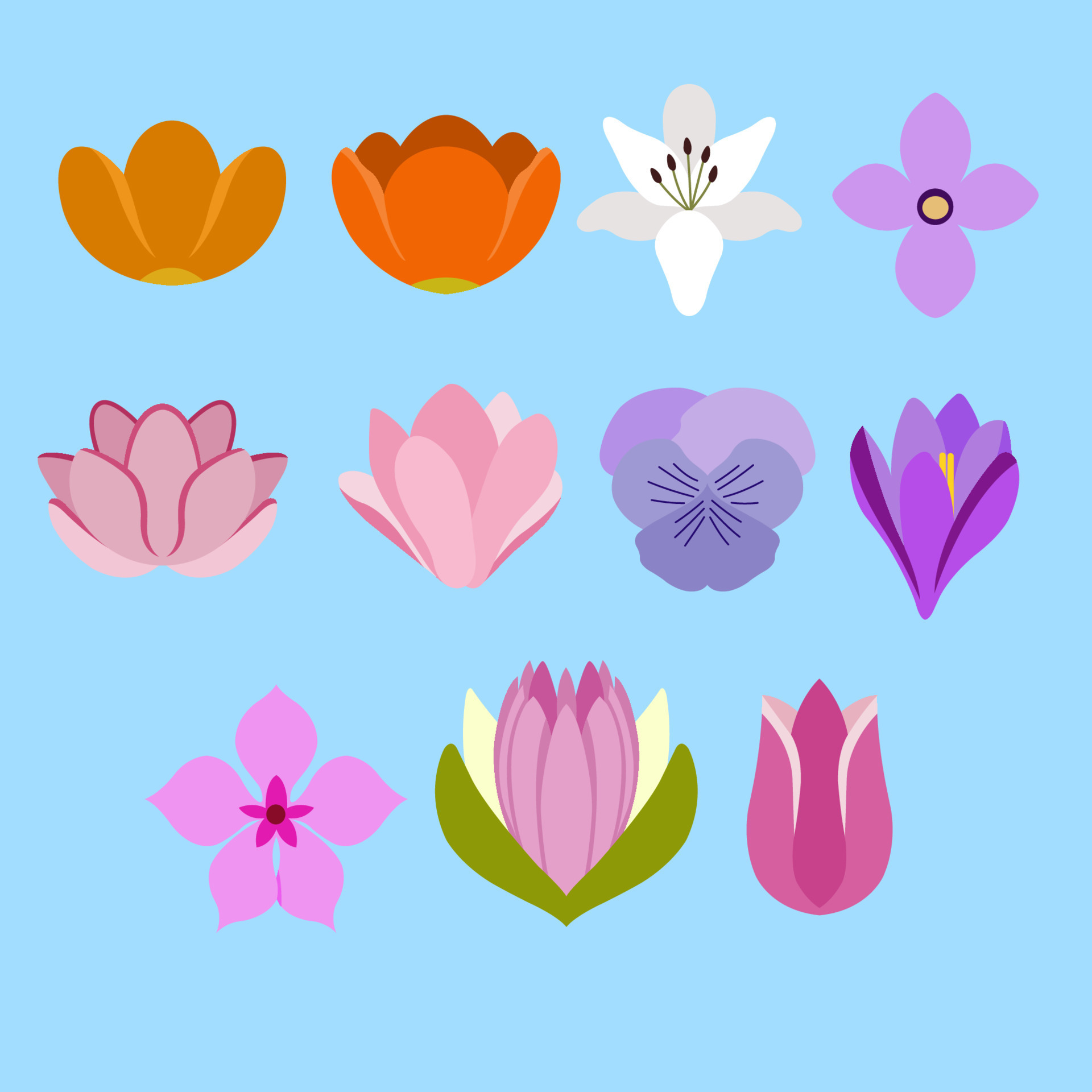 Set of Flat Flower Illustration 11991919 Vector Art at Vecteezy