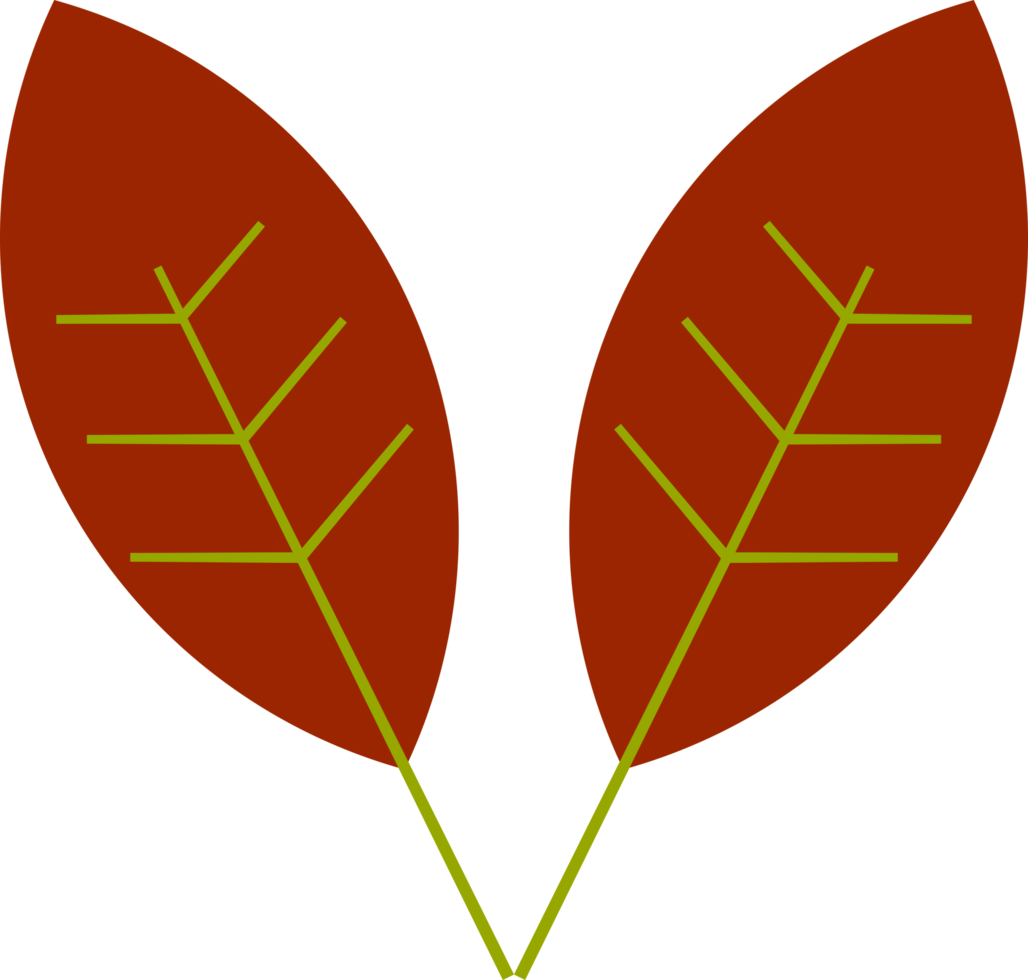 Leaf Icon Element 11993569 PNG Leaf Icon Element 11993569 PNG