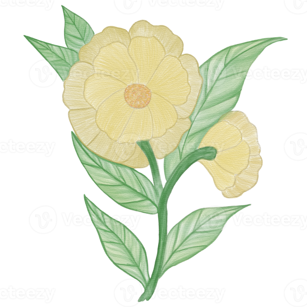 Watercolor Flower Element 11994461 Png