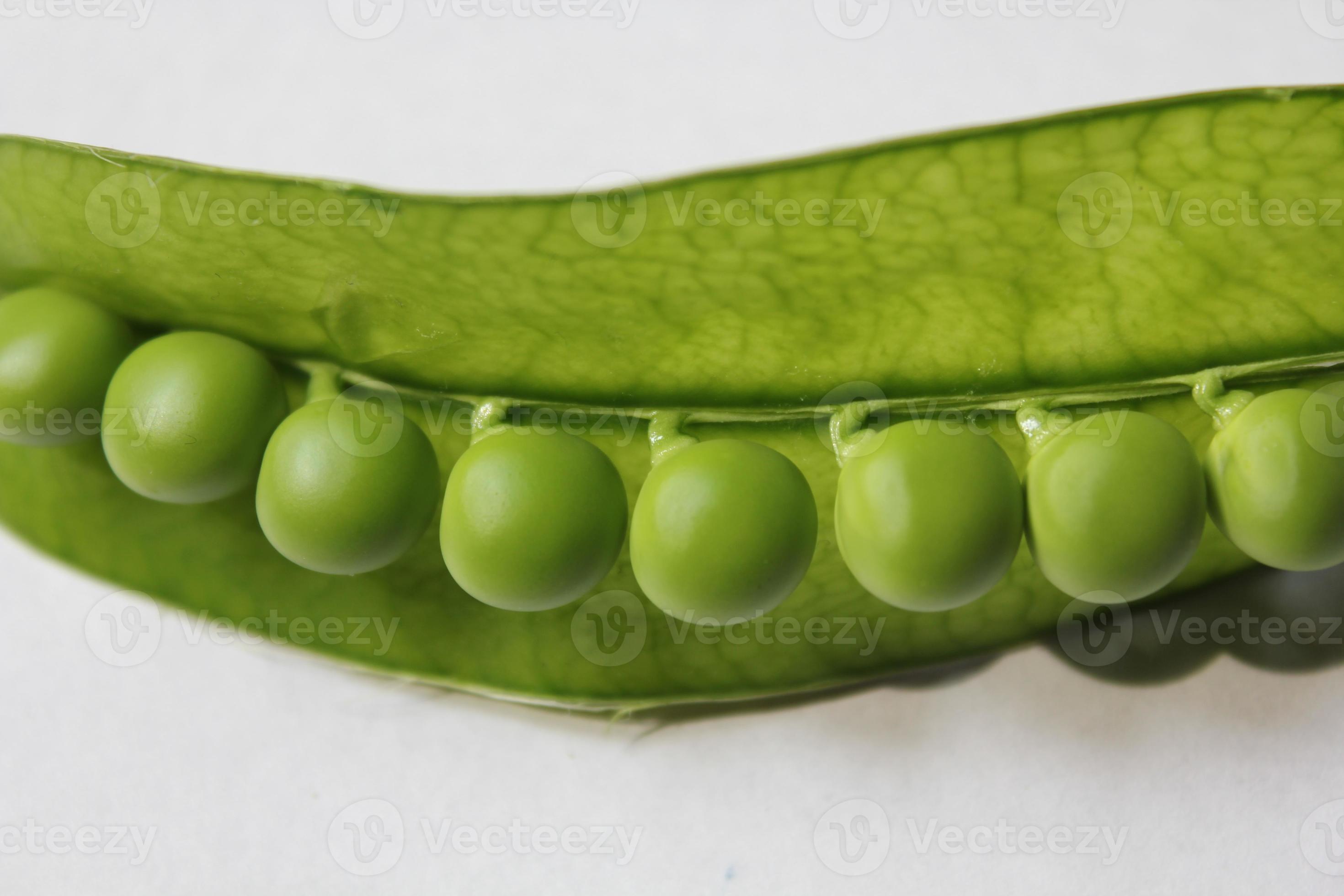 Pea is most commonly the small spherical seed or the seed-pod of the ...