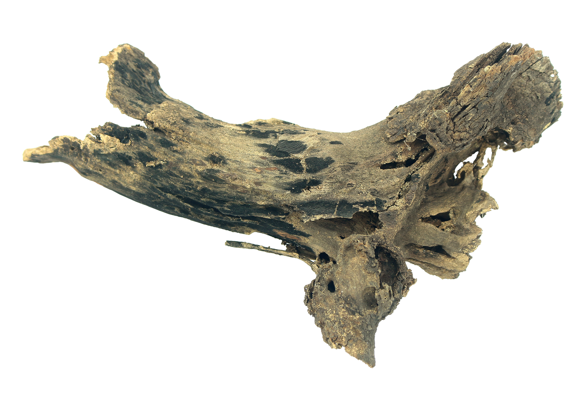 log wood isolate on transparent background png file 11999829 PNG log wood isolate on transparent background png file 11999829 PNG