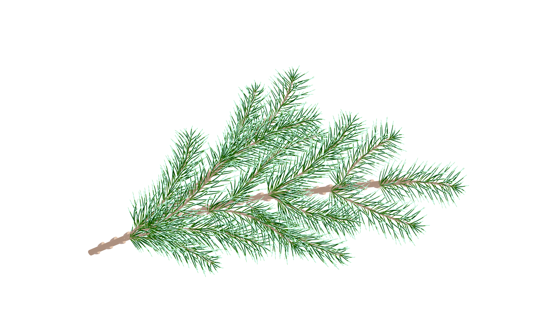 Green Pine Branch Fir Tree Branch 12000310 Png