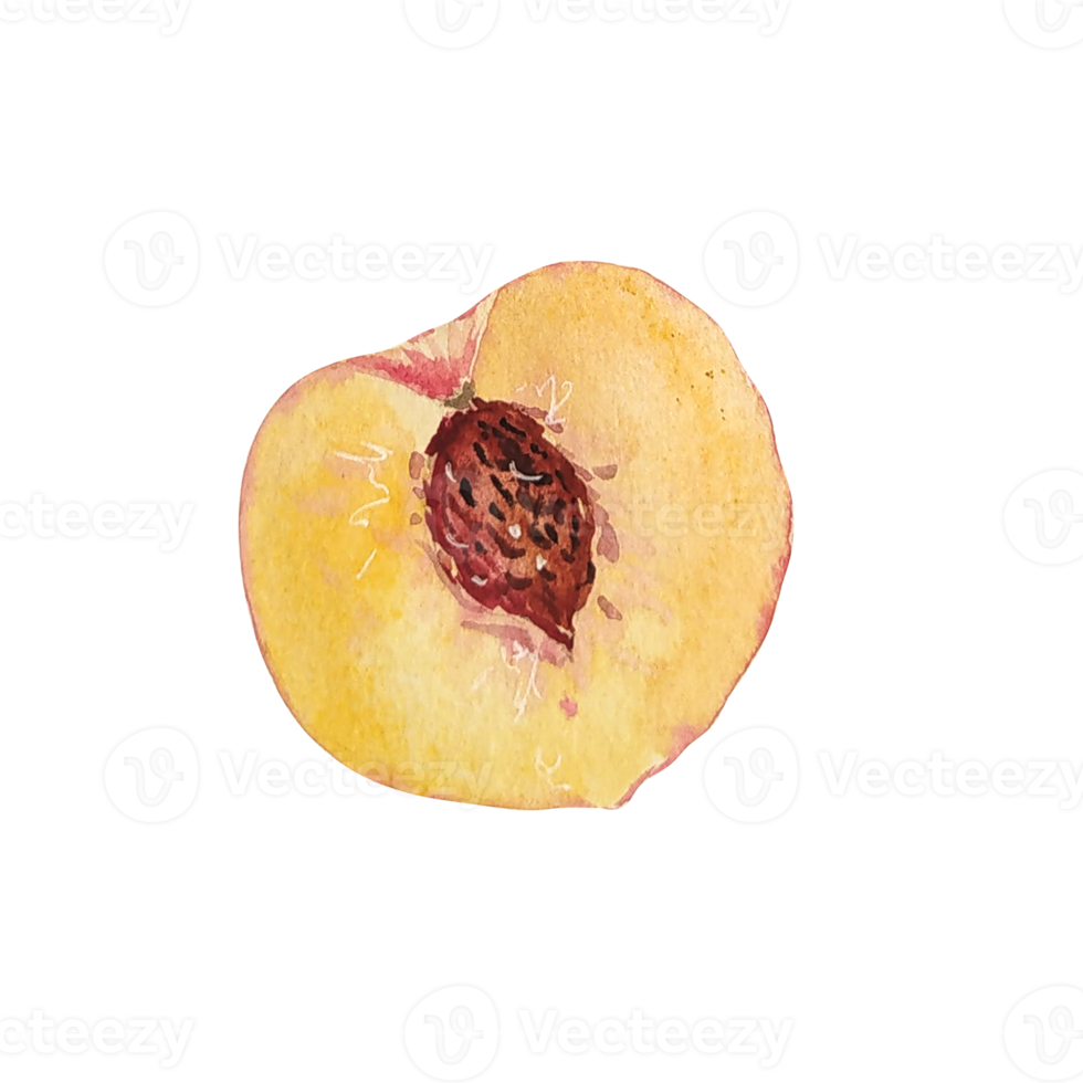 Rebanada De Fruta De Durazno Acuarela 12004536 Png