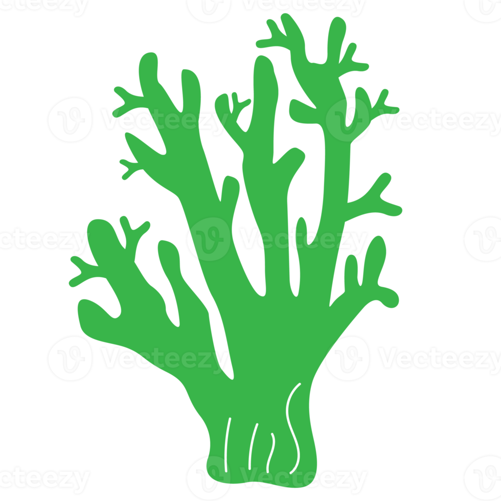 Coral Reef Clipart Png
