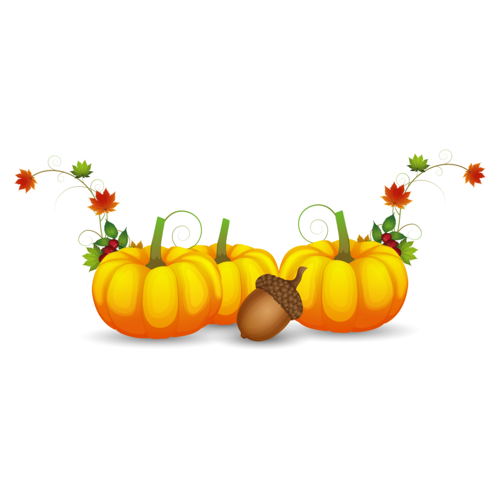 Pumpkin For Happy Thanksgiving Day 12011866 Png