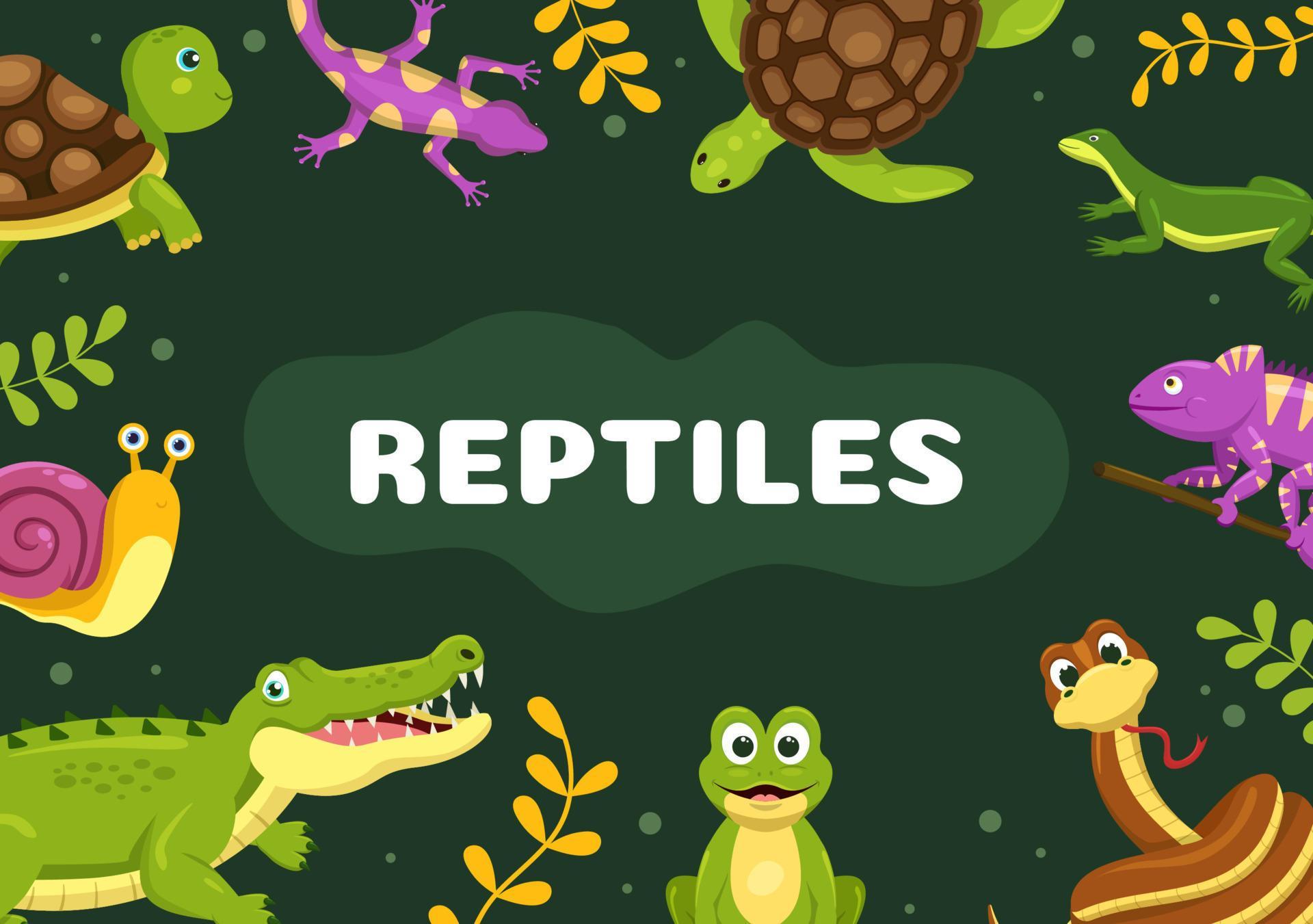 Set of Animal Reptile Template Hand Drawn Cartoon Flat Illustration ...