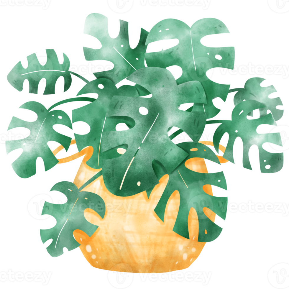 House plant watercolor 12039192 PNG