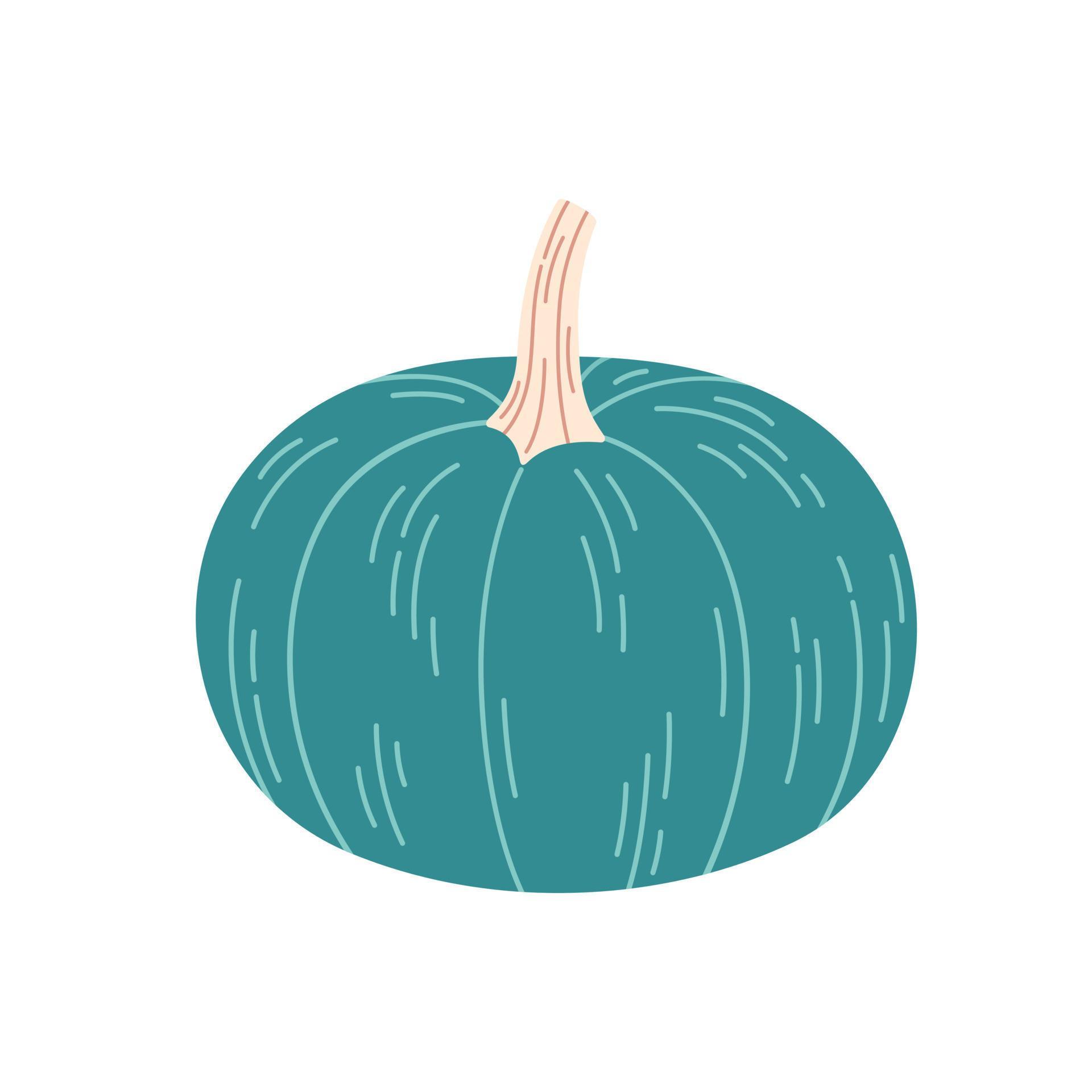 Pumpkin Gourd Hello Autumn Autumn Harvest Farming Vegetable 12051442 Vector Art At Vecteezy