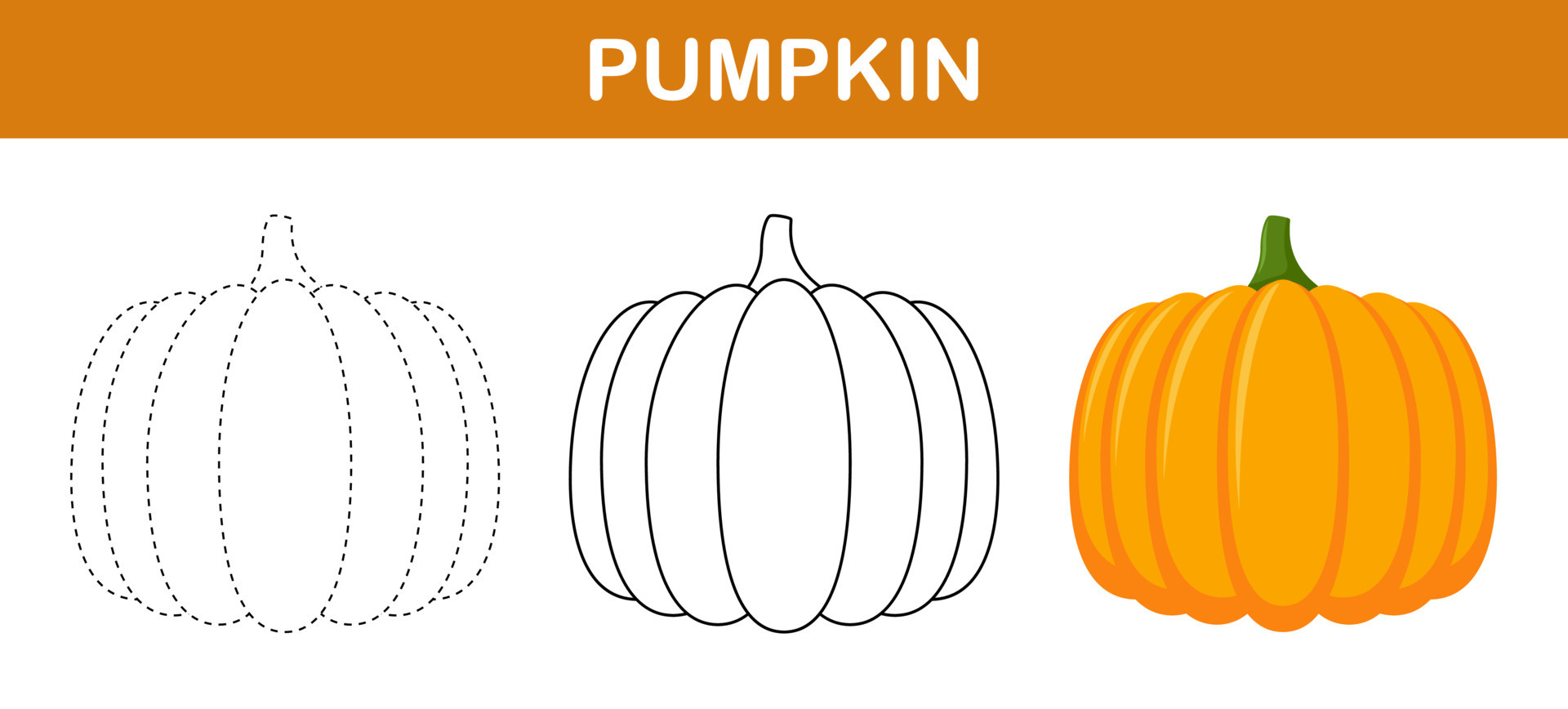 Pumpkin tracing and coloring worksheet for kids 12139287 Vector Art at ...