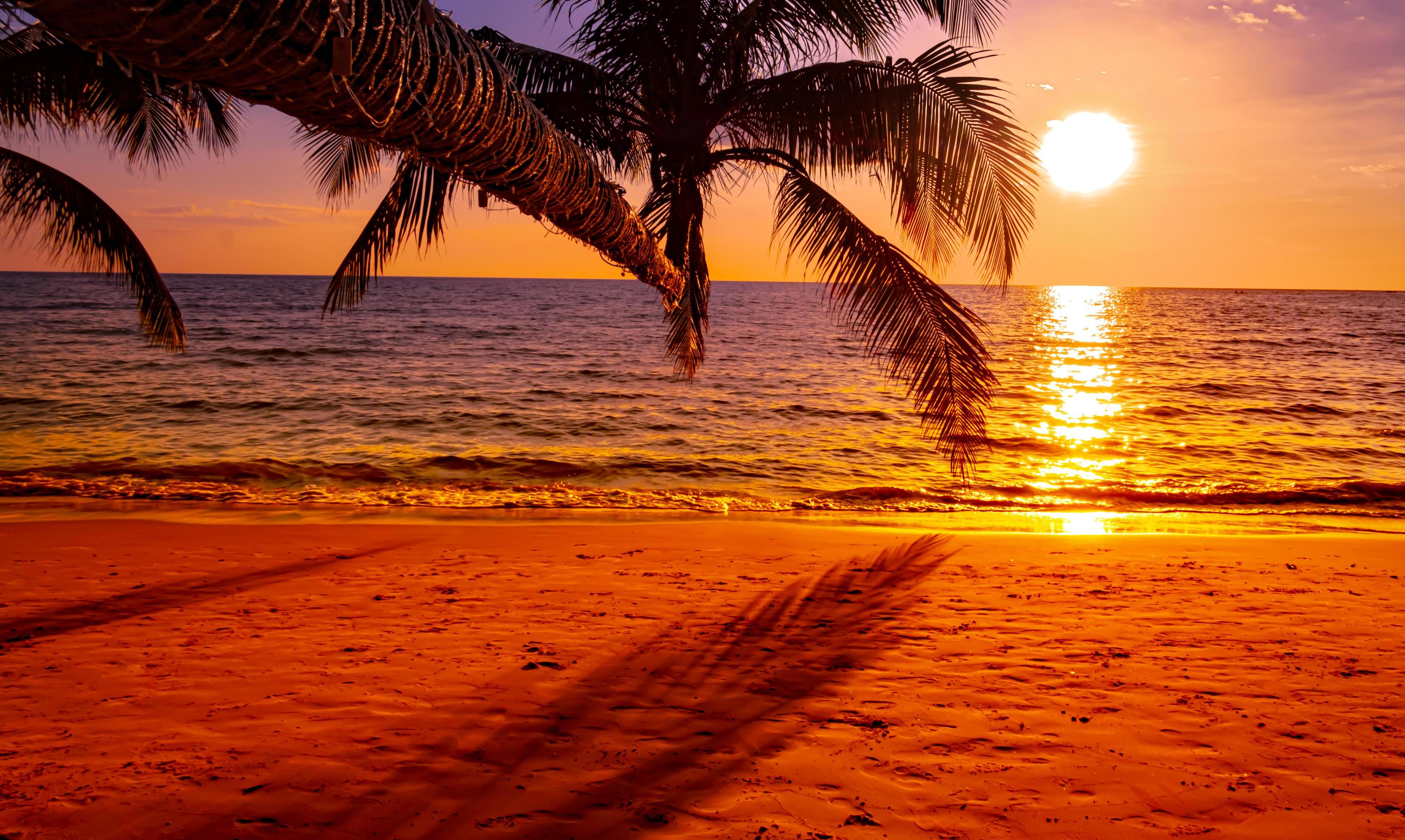 Beautiful sunset on the beach with palm tree for travel and vacation ... Beautiful sunset on the beach with palm tree for travel and vacation ...
