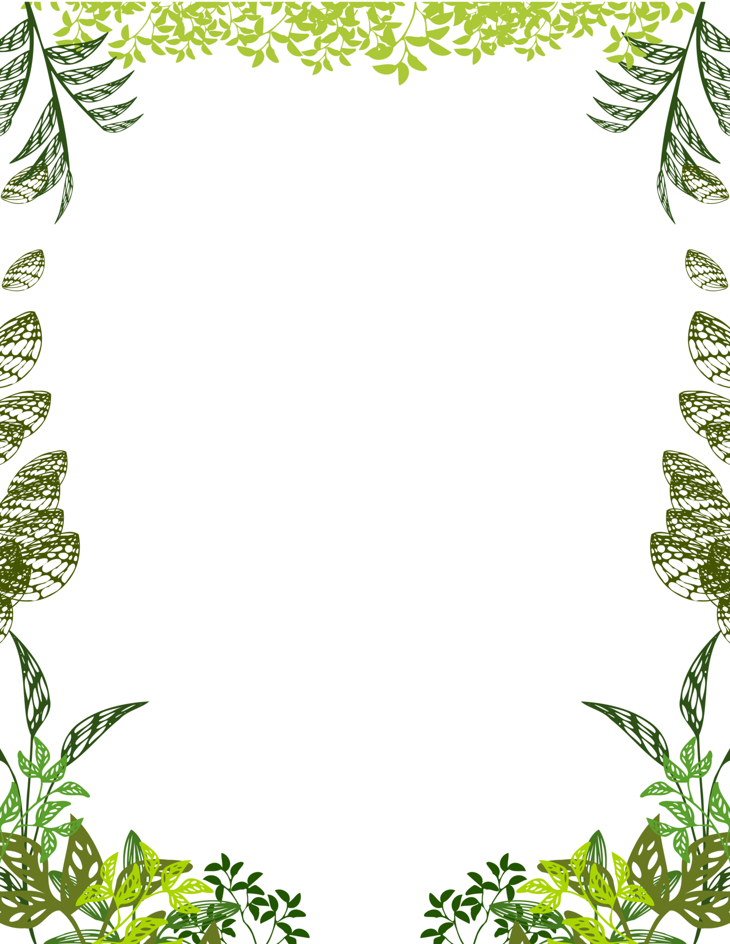 herbal frame, floral frame png 12222225 PNG herbal frame, floral frame png 12222225 PNG