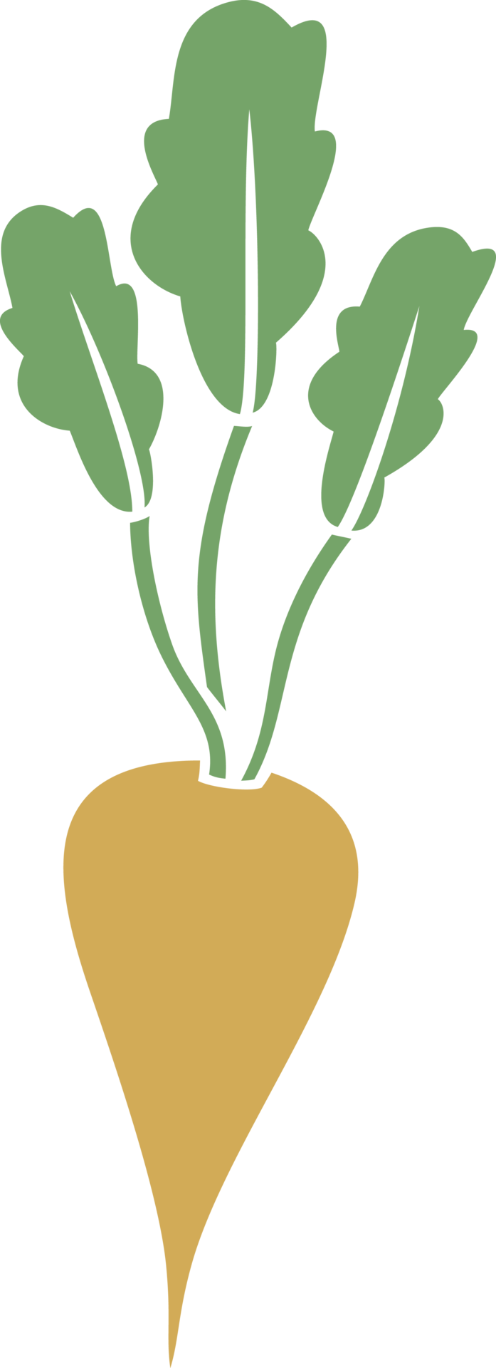 Sugar Beet Color 12227753 Png