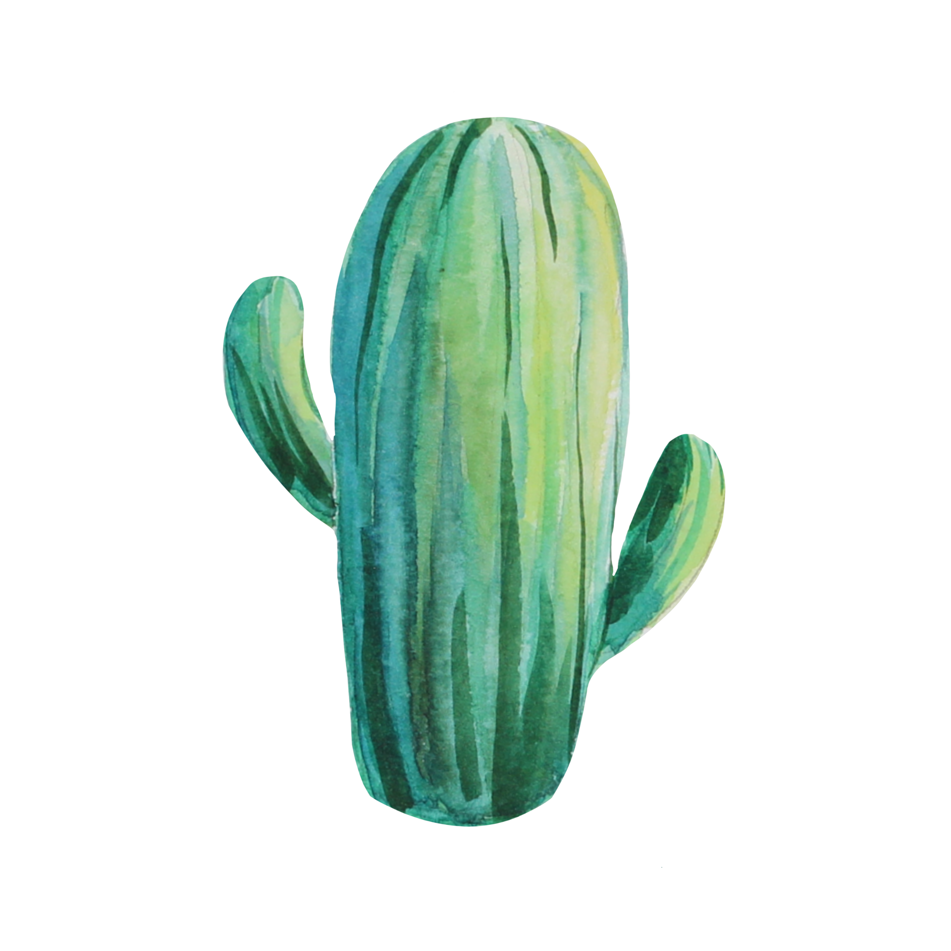 cactus watercolor illustration 12227927 PNG