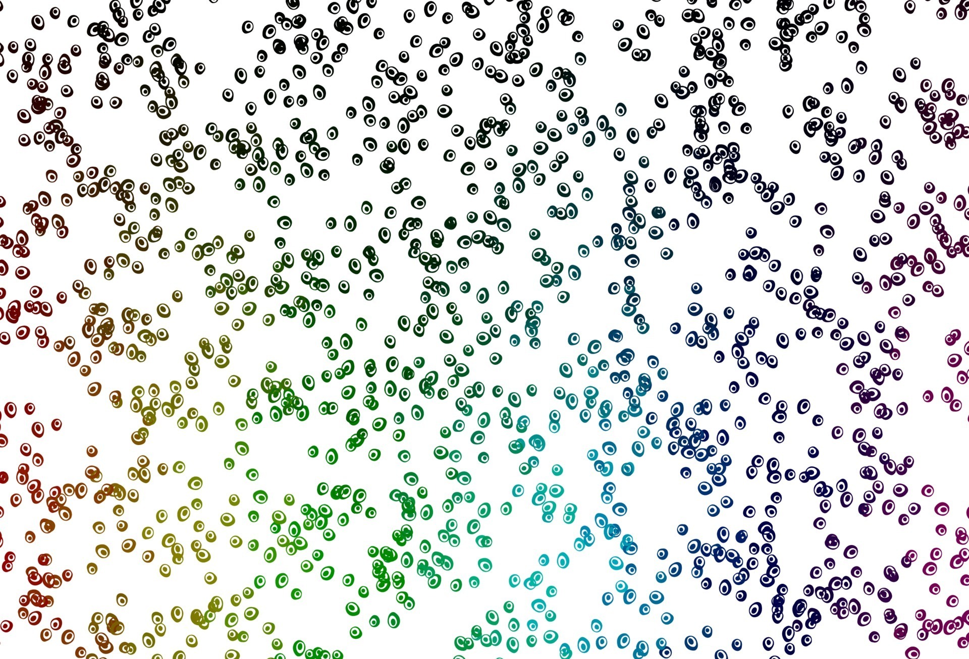 Light Multicolor Rainbow Vector Texture With Disks 12239642 Vector