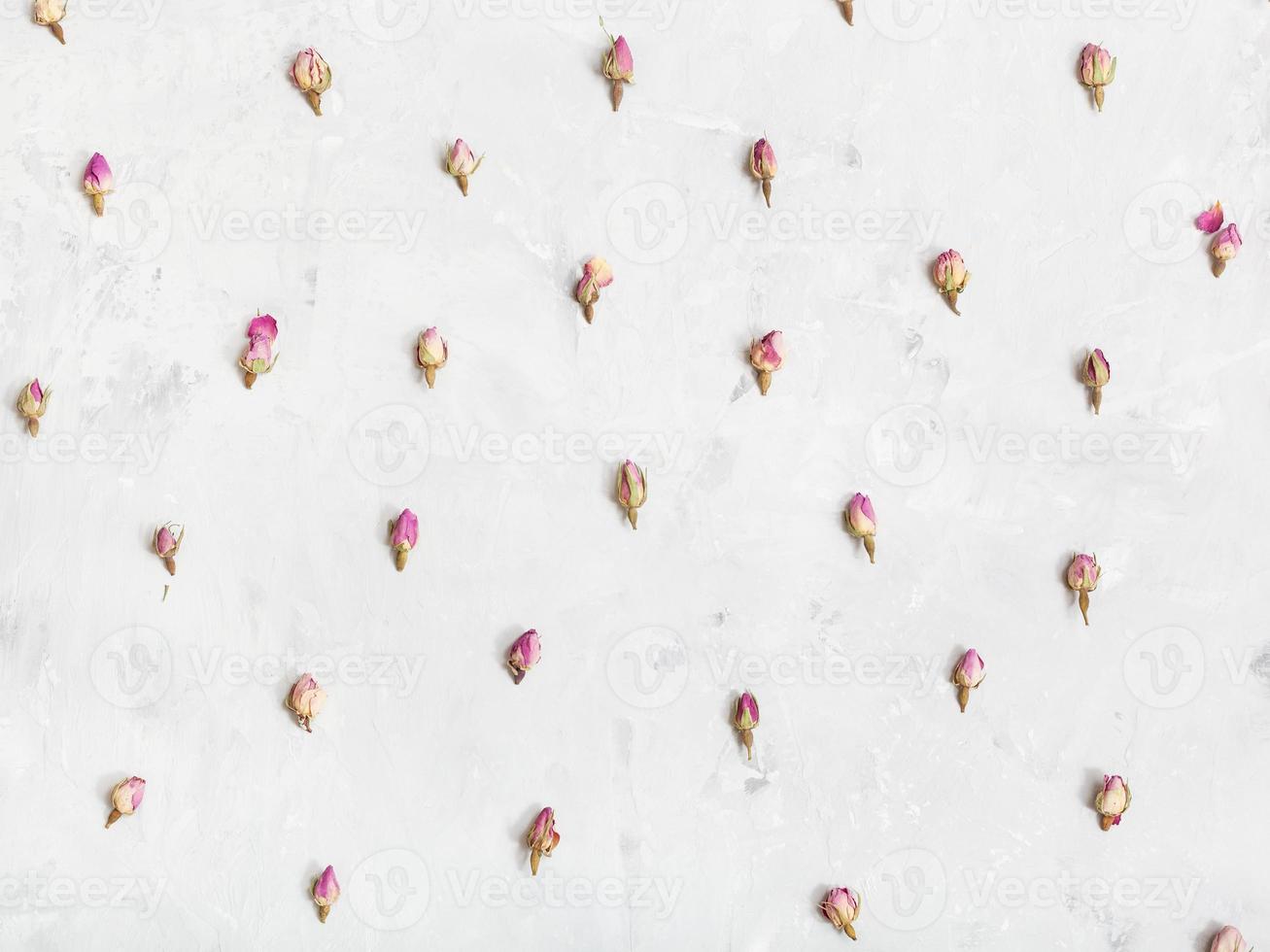 pink rose flower buds on gray concrete plate 12249483 Stock Photo at ... pink rose flower buds on gray concrete plate 12249483 Stock Photo at ...