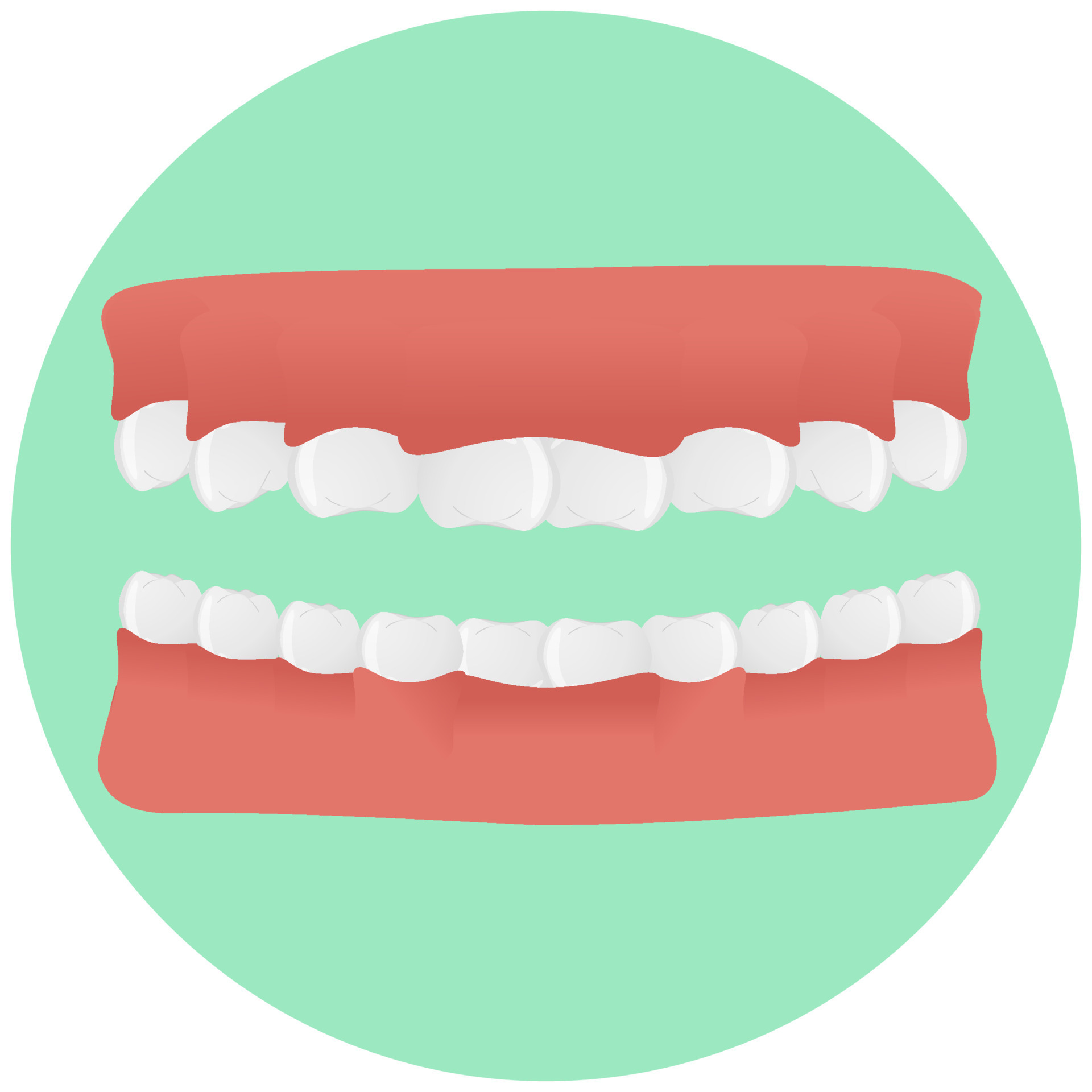 Jaw Teeth Set In Realistic Style Colorful Vector Illustration Isolated On Background 12252246
