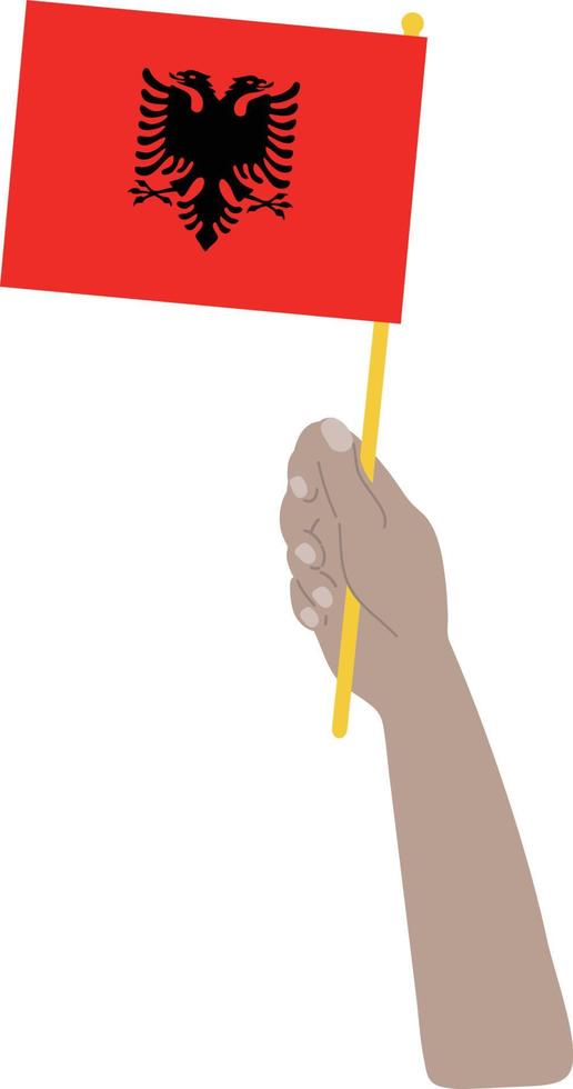 Albania Flag Vector Hand Drawn Albanian Lek Vector Hand Drawn 12254925 Vector Art At Vecteezy