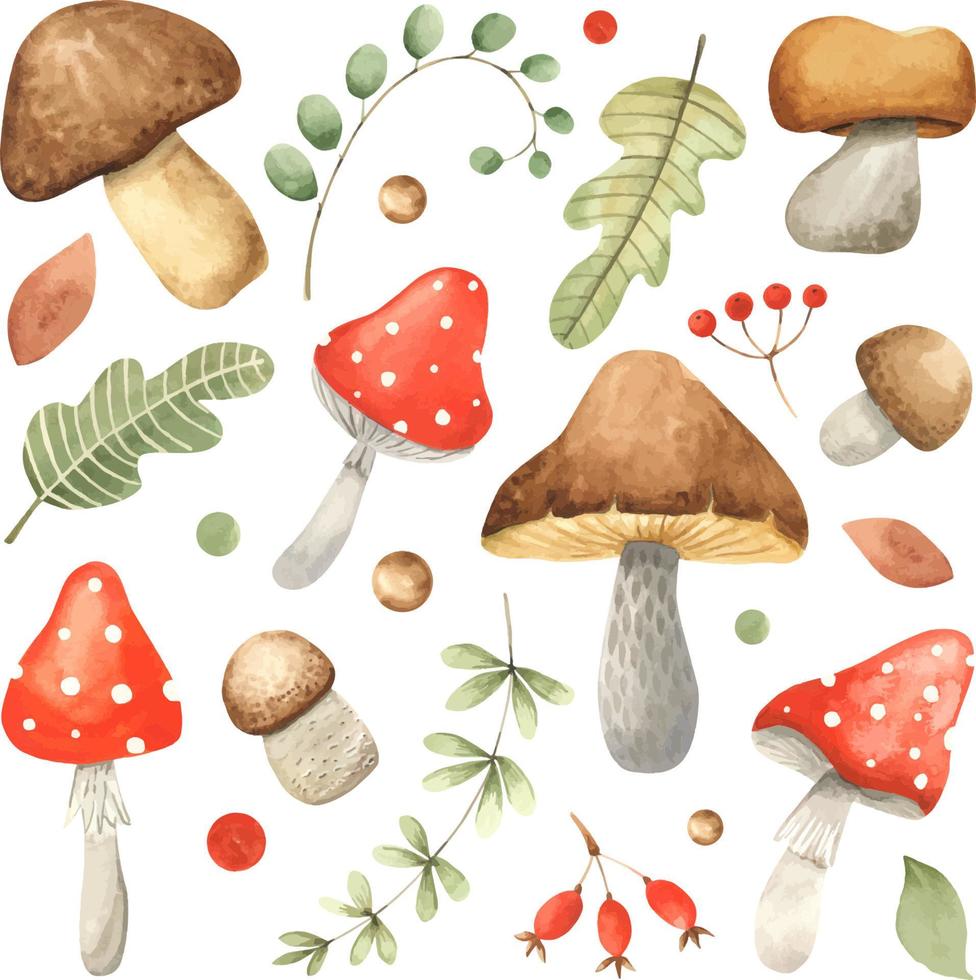 Set of watercolor vintage mushrooms isolated on white. Fall harvest ...