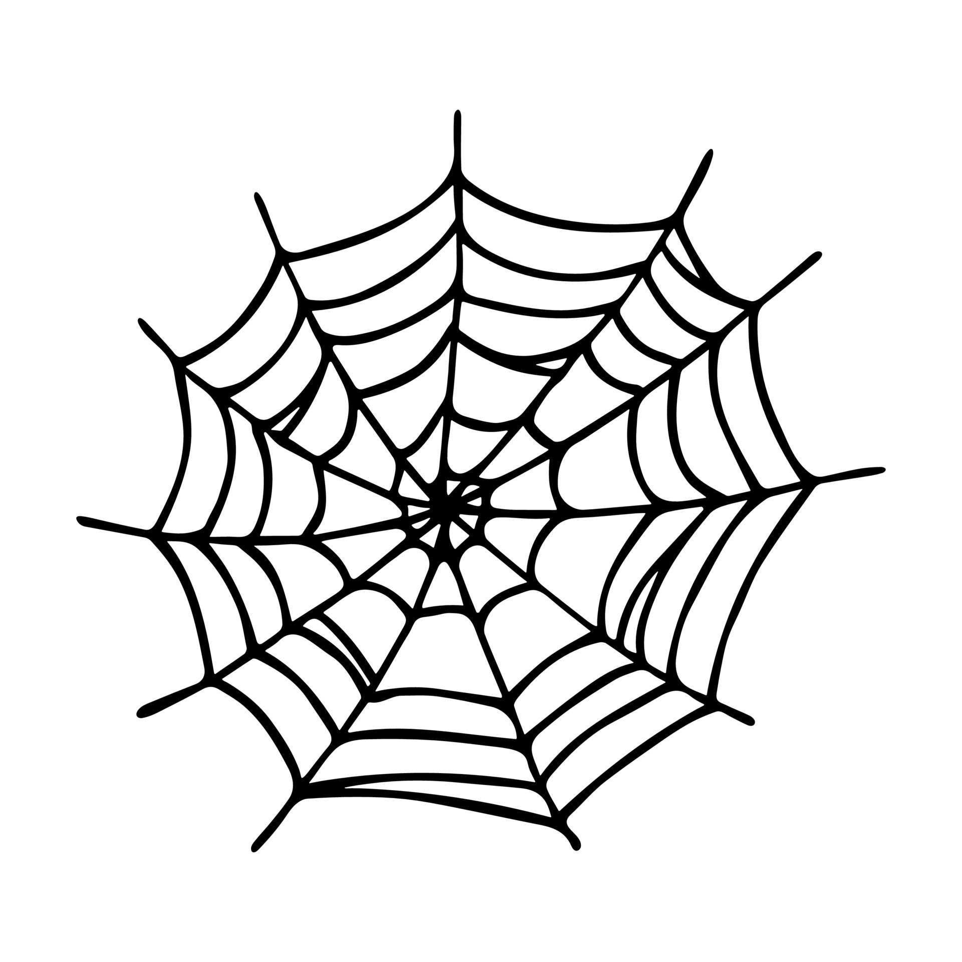 Simple Spider Web Design