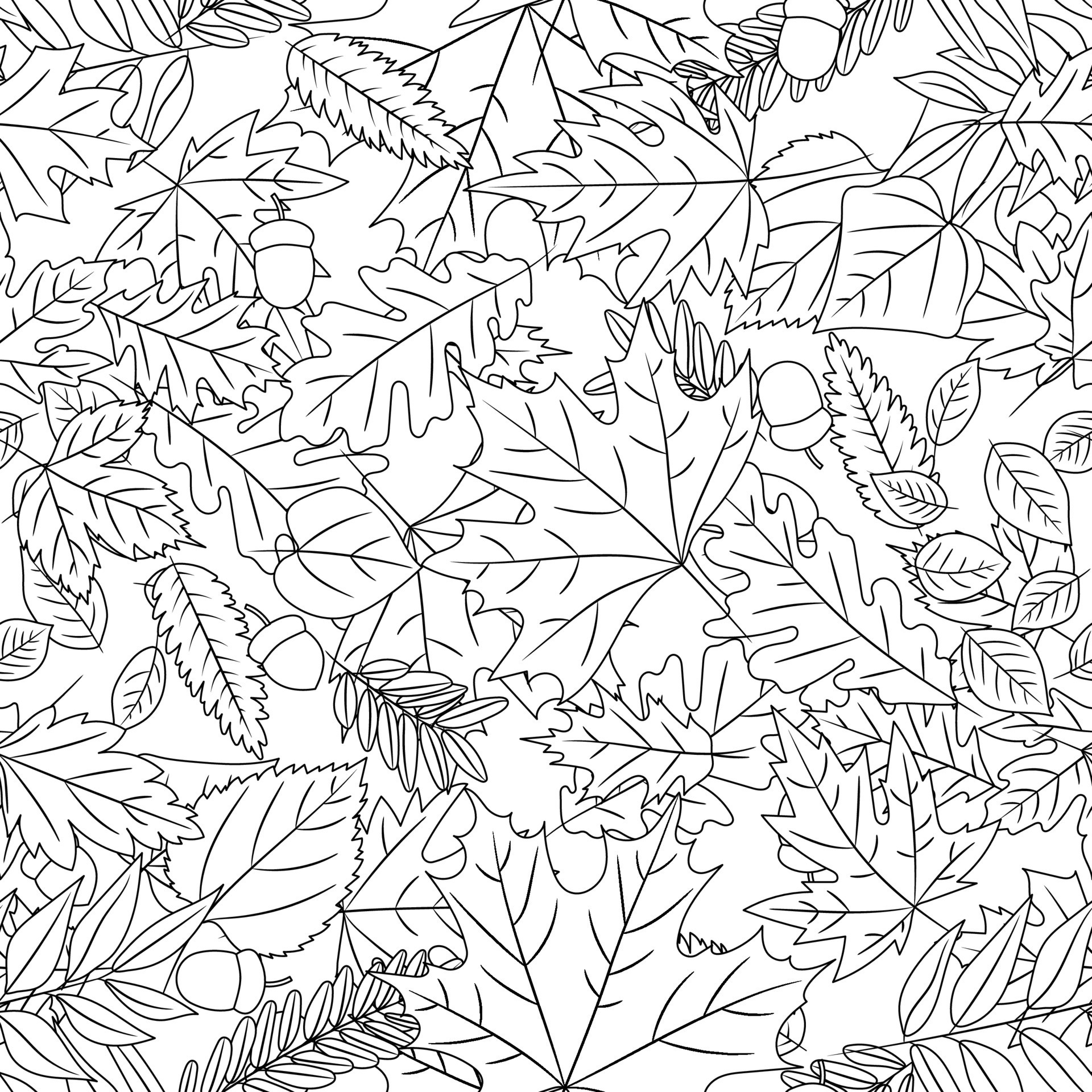 Linear Autumn Leaves Oak Birch Maple Seamless Pattern Autumnal Leaf Background Outline