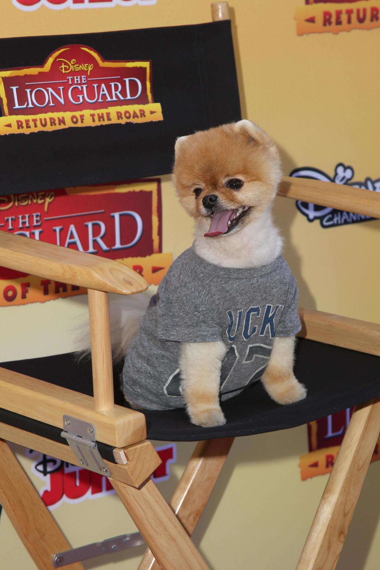 LOS ANGELES, NOV 14 - Jiff at the The Lion Guard - Return Of The Roar Screening at the Walt ...