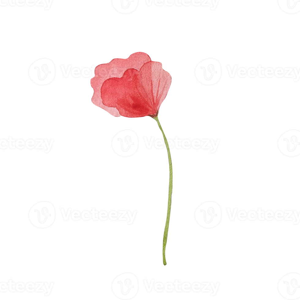 Watercolor Red Poppy Flower 12375246 Png